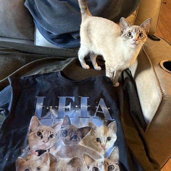 Finding Nemo Birthday Shirt, Finding Nemo T-shirt, Finding Nemo Family ...