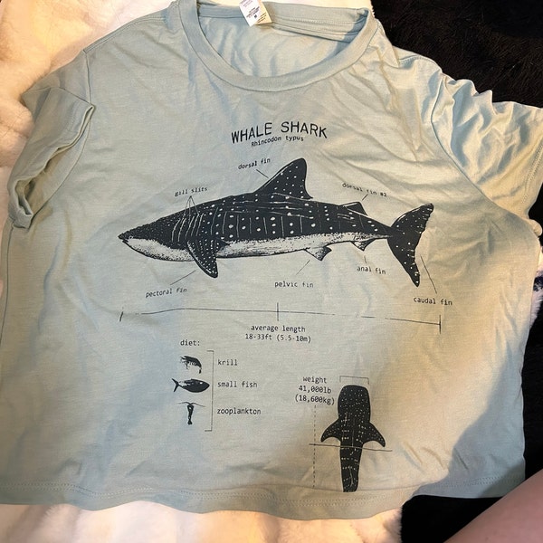 Whale Shark Anatomy Crop Top, Ladies Shark Shirt, Shark Crop Top ...