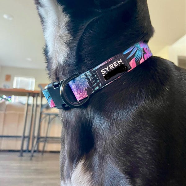 Treeline Dog Collar - Trees | Forest | Nature | Outdoors - Etsy