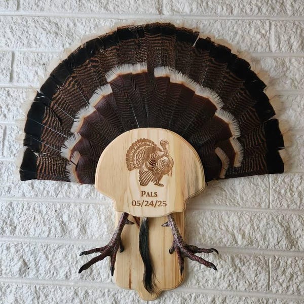 DIY Turkey Fan Mount/beard/spur/unique Turkey Fan Mount/fathers Day ...