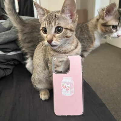 Boba Tea Notebook, Bubble Milk Tea Spiral Notebook, Kawaii Notebook ...