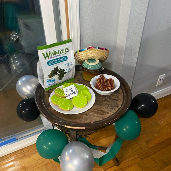 Craft Sola Wood Flower Seconds , Assorted Sola Flowers, DIY Crafts ...