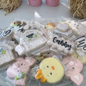 Top Gun Themed Birthday Cookies Dozen - Etsy