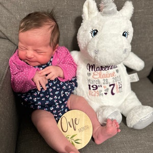 Personalized Stuffed Animal Personalized Monster Birth - Etsy