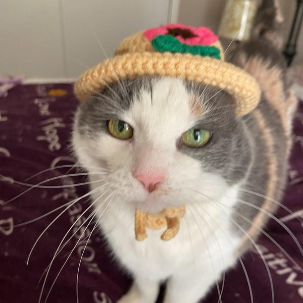 Pink Flower Summer Hat Cat Hats Cat Costumes Cat Accessories Cat ...