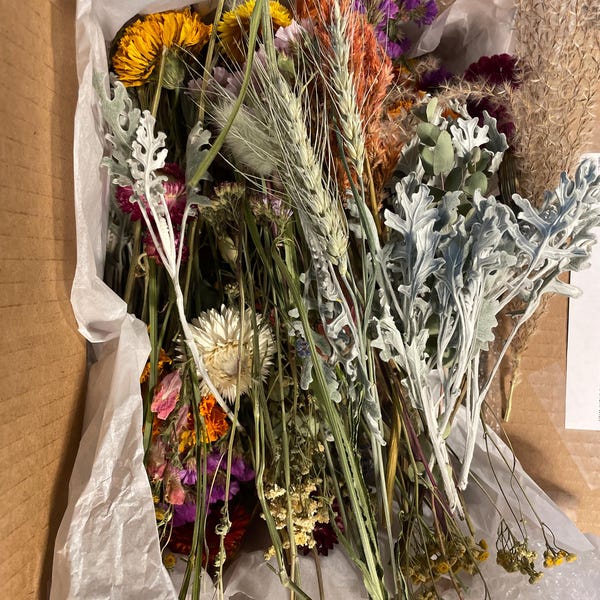 Dried Flower Box, Dried Flower Stems, DIY Wedding Decor, Vase Filler ...