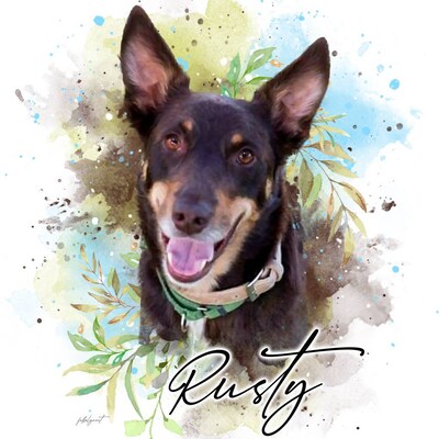 Custom Dog Portrait, Digital Portrait Dog Personalised Dog Portrait ...