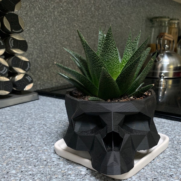 Large Low Polygon Skull Planter Home Decor, DIY Ready to Be Painted as ...