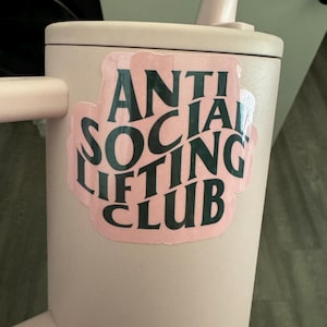 Coquette Sticker Heart Cherries Sticker Holographic Pink Bow Sticker ...