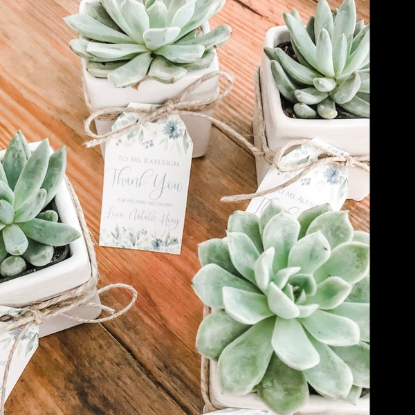 Succulent Thank You Tag Printable Template, Editable Wedding Favor Gift ...