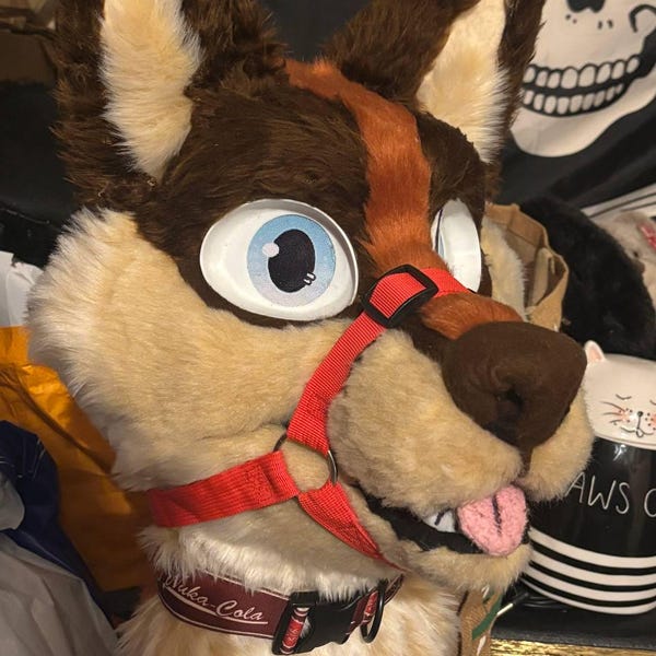 Smilodon Sabretooth Cat Fursuit Head Base Set: Eyes, Moving Jaw, Nose ...