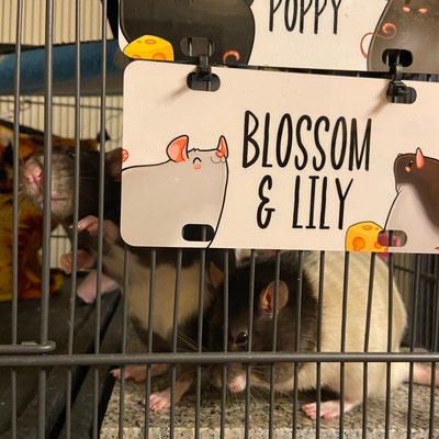 Personalized Rat or Mouse Name Plate Tag Small Animal Cage - Etsy