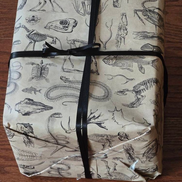 Trash Friends Wrapping Paper Funny Vintage Opossum Rat Crow Cat Skunk ...