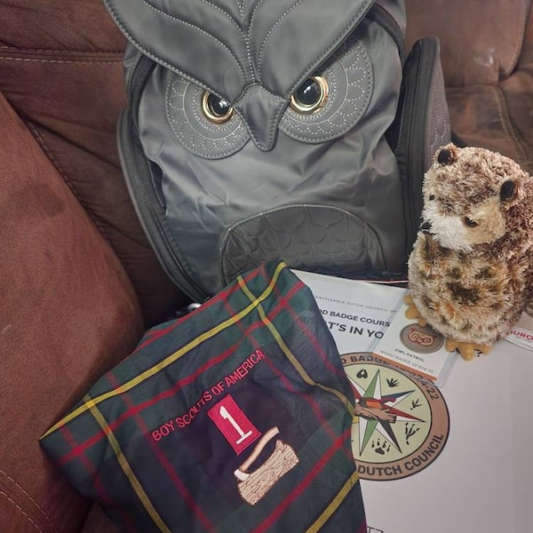 Owl Backpack - Water-repellent Design by Darling's - Medium Large - Etsy