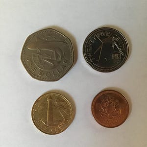 30 Unique Animal-themed Coins in a Pouchchoose Your Set A, B, C, or ...