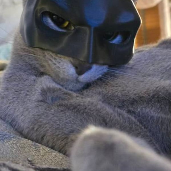 Wolverine Cat Mask - Etsy