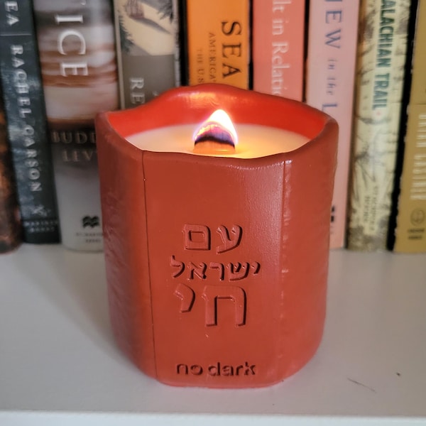 Am Yisrael Chai Unisex Hooded Sweatshirt | Hebrew Handwriting | Support ...