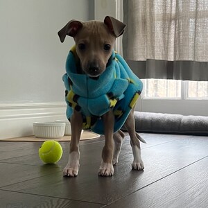 MADE TO ORDER Puppy Italian Greyhound Clothing Fleece Vest. - Etsy UK