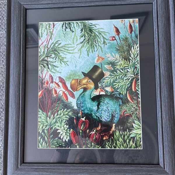 Dodo, Alice in Wonderland, Alice in Wonderland, Dodo Bird, Alice in ...