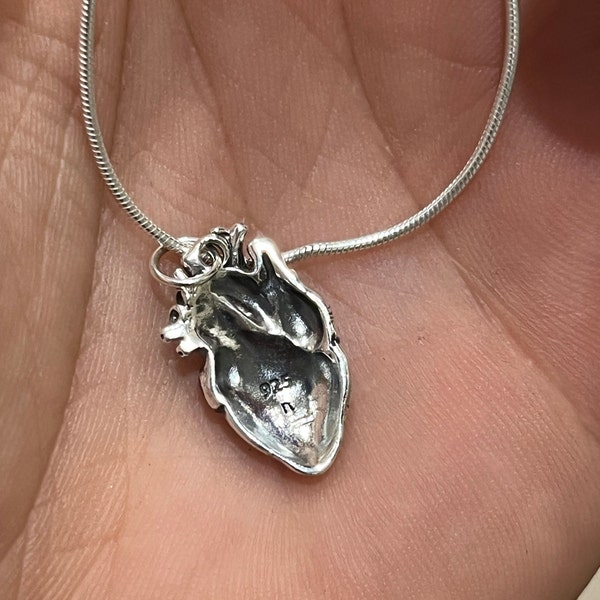 Anatomical Heart Necklace, Sterling Silver Anatomical Heart Charm on a ...