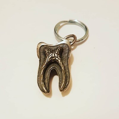 Human Tooth Keychain Tooth Anatomy Accessory - Etsy