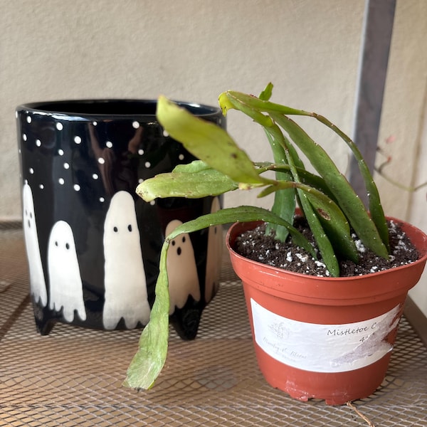 Ghost Planter - Halloween Decor - Spooky Pot - Multiple Sizes - Etsy
