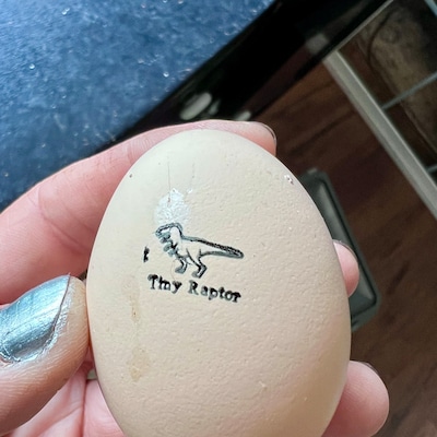 Egg Carton Stickers Funny Chicken Face Fresh Eggs Egg Carton Sticker ...