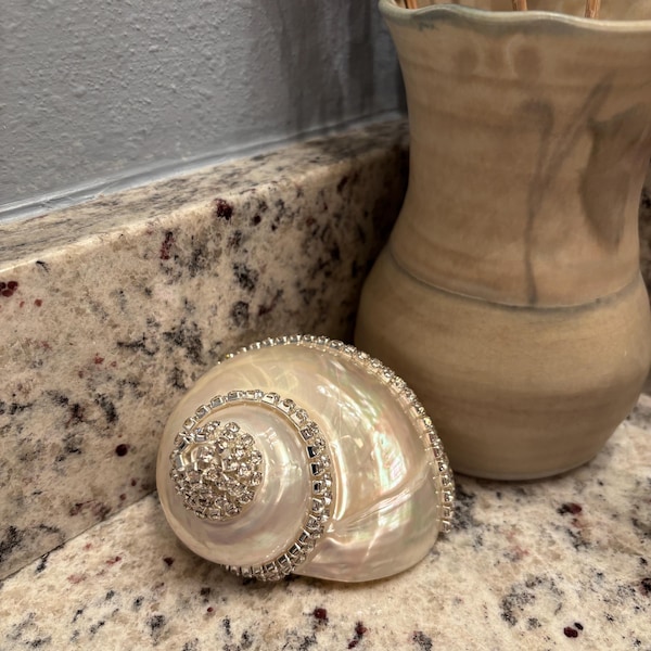 Polished Turbo Shell, Pearl Color Embellished With Rhinestone Crystals ...