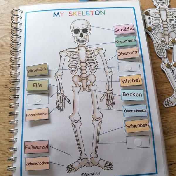 Human Skeleton Busy Book Page, Printable Montessori Materials ...