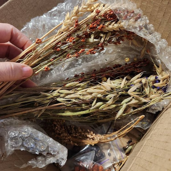 100 Walnut Shell Halves,walnut Halves Creativity,walnut Slices,walnut ...