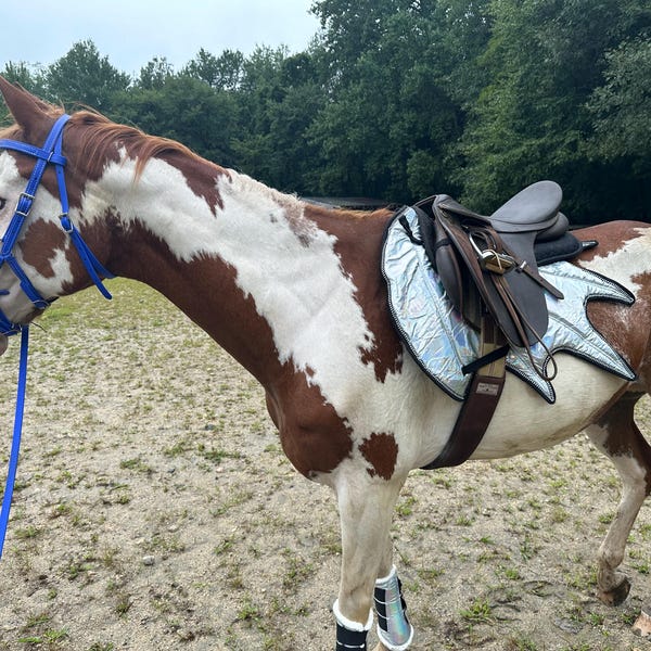 Fruits Theme Saddle Pad Sets; Stylish Strawberry Equestrian English ...