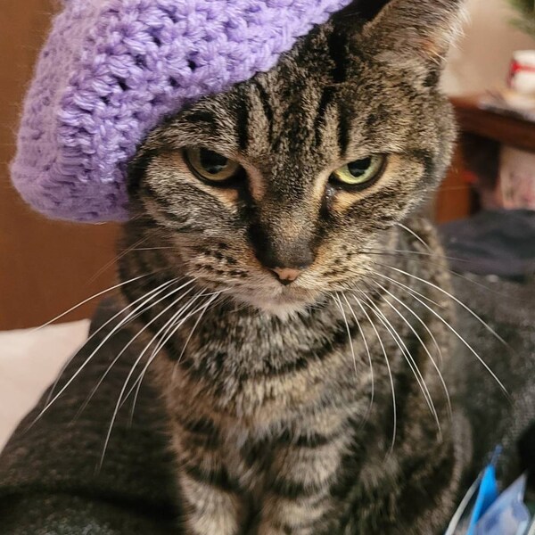Crochet Cat Hat Pattern Beret - Etsy