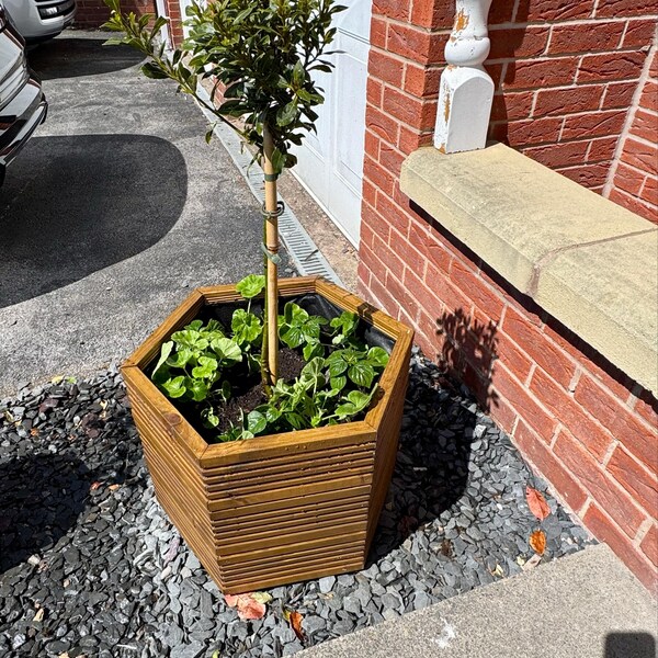 Set of 3 Wooden Hexagonal Planter | Wooden Planter | Outdoor | Set of Planters | Gardening ...