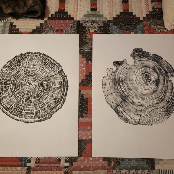 TREE RING ART Print, Tree Ring Print, Set of 6 Prints, Log Print Tree ...