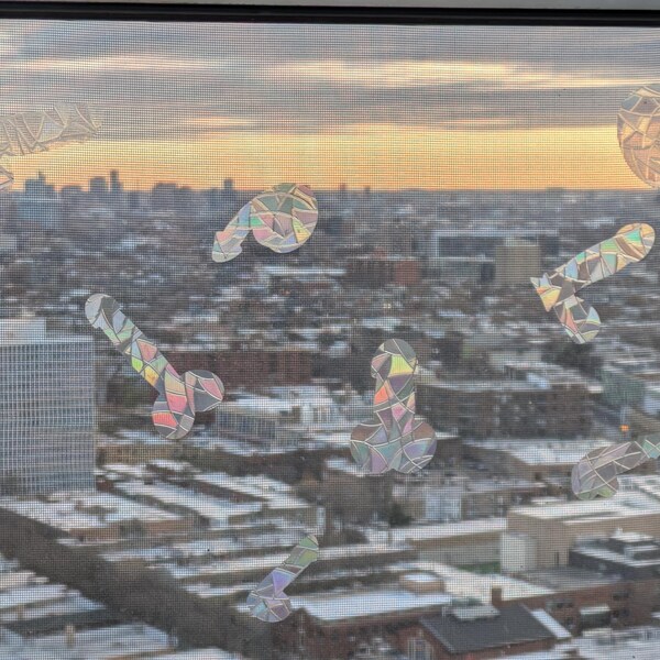 Pig Window Cling Sun Catcher Decals - Rainbow Maker Sets - Reusable ...