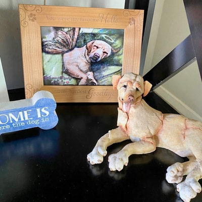 Pit Bull Pitbull Angel Wings Pitty Amstaff Angel Pet Memorial Rainbow ...