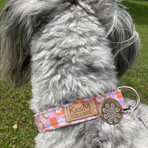 Orange and White Checkered Dog Collar, Martingale or Flat Collar, Dog ...