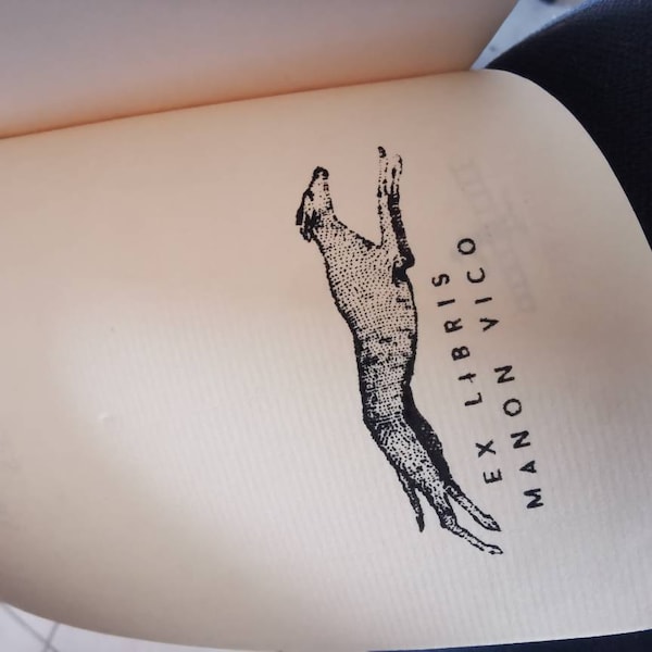 ROB RABBIT Exlibris Stamp, Book Stamp,personalized Stamp,custom,unique ...