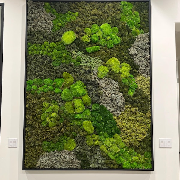 Extra Large Sheet Moss Natural Green Preserved Sheet Moss for ...