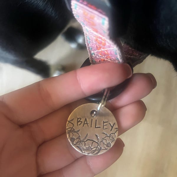 Space Themed Dog Tag, Dog Tags for Dogs, the Galactic Explorer ...