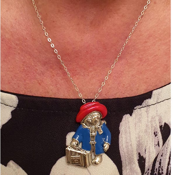 Tortoise Locket Necklace Ruby Eyes on 18 Chain Silver Jewellery Gift ...