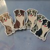 Australian Shepherd Sticker Aussie Chibi Puppy Dog, Vinyl, Hand Drawn ...
