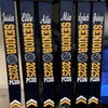 2026 "the Champion Pro" Sports Senior Night Sashes With Chevron Tails ...