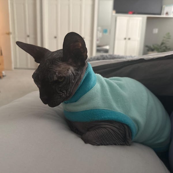 Snuggle Bed, Cat Sleep Sack, Snuggle Sack, Sleeping Bag, Pet Sleeping ...