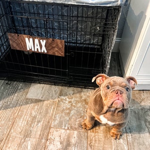 The Dog is Inside or Outside Reminder Sign Dog In/out Wooden Door ...