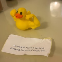 Muscular Arms Duck Meme - Never Skip Arms Day - 3D Printed Dash Duck ...