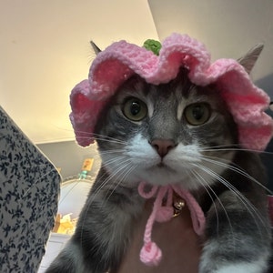 Flower Hat Crochet Hat for Cat or Small Dog Crochet Eggplant Hat ...