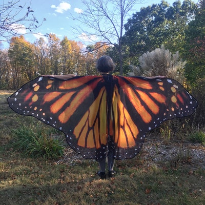 Butterfly Wings Monarch Cape Costume Adult Fairy Wings Chiffon Belly ...