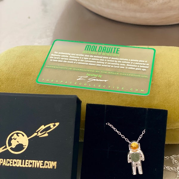 Spacex & ISS Flown NASA Vector Label Flown in Space NASA - Etsy