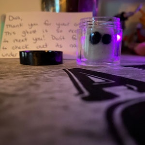 Adopt a Ghost, Tiny Ghost in a Jar, Cute Halloween Gift, Gift Basket ...